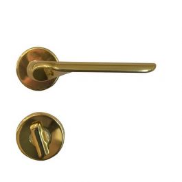 Door Handle On Long Plat With Wc Lock